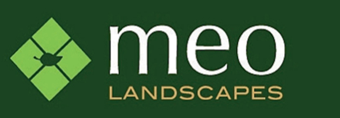 Meo landscapes