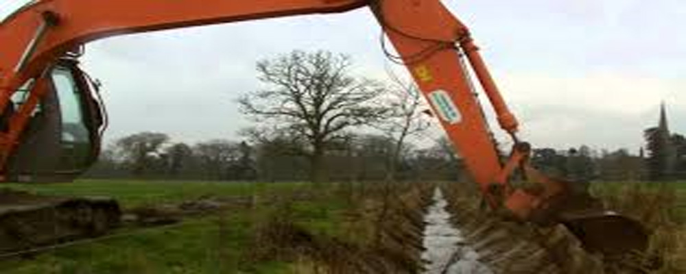 Hall Farm Plants - MEO Landscapes