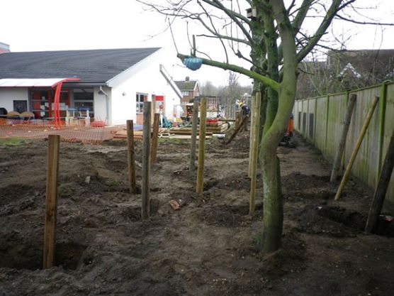 Tree and Hedge Planting - MEO Landscapes